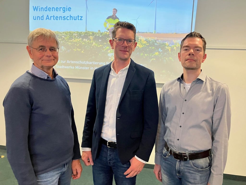 Artenschutz-Gutachten: Kippt der Wespenbussard ein Windrad in Halle?