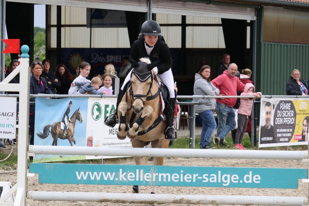 Minden-Lübbecker Reiter beschließen Reform