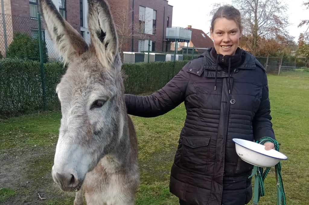 Kerstin Wissing bietet besondere Touren an: Wandern mit Eseln