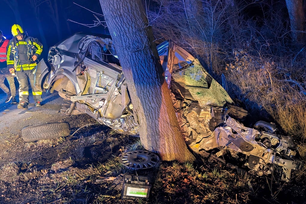 Autofahrer übersteht Kollision mit Baum leicht verletzt