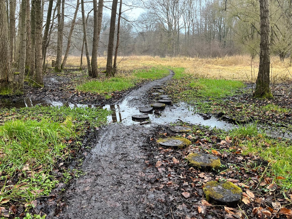 Enger: Heimatverein moniert Zustände von Wanderwegen