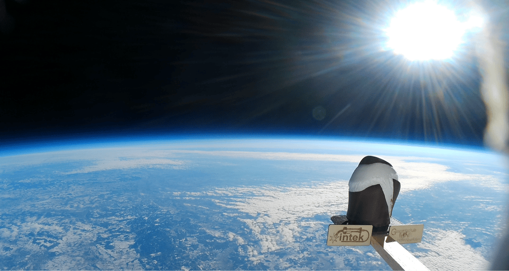 Gesamtschule Halle: Schülerexperimente in 38 Kilometern Höhe