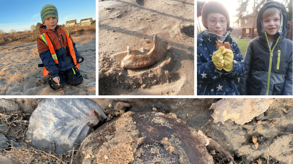 Knochenfunde an der Ems: Erste Ergebnisse liegen vor