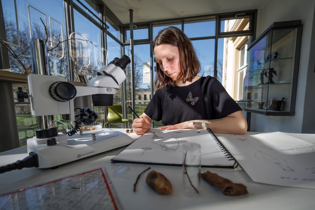 Das steckt in einem Häufchen Dreck