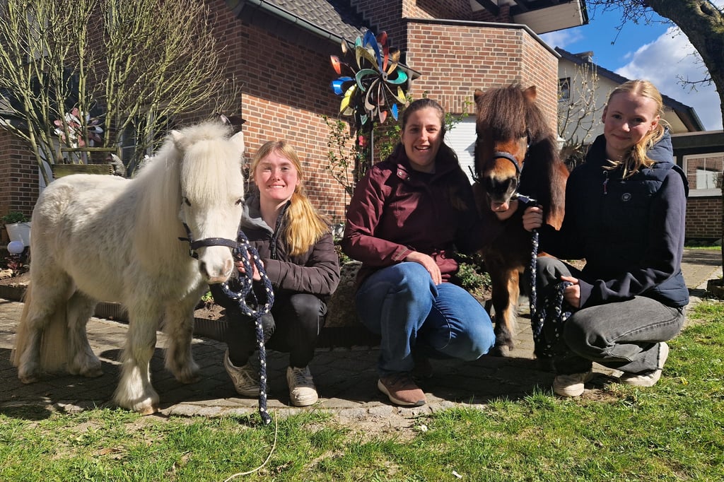 Halle: Großer Kindheitstraum - so lebt es sich mit zwei Shetlandponys