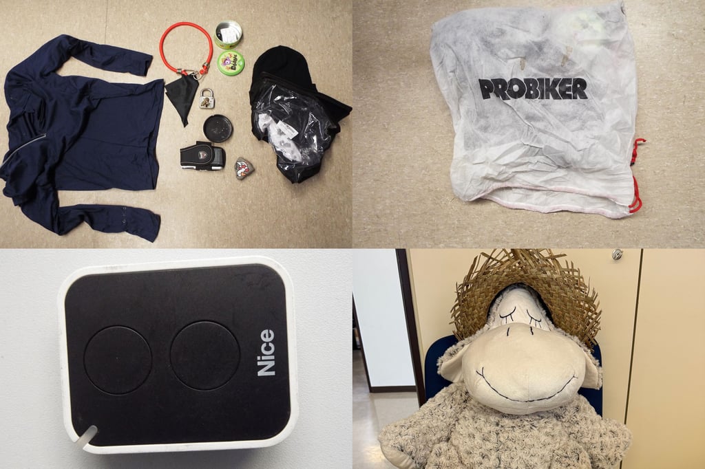 Polizei in Paderborn fragt: Wem gehören diese Dinge?