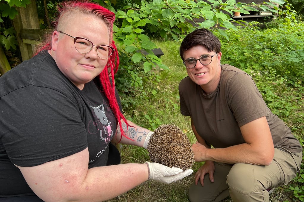 Bad Oeynhausen: Happy End für Igel Bob am Museumshof im Siekertal