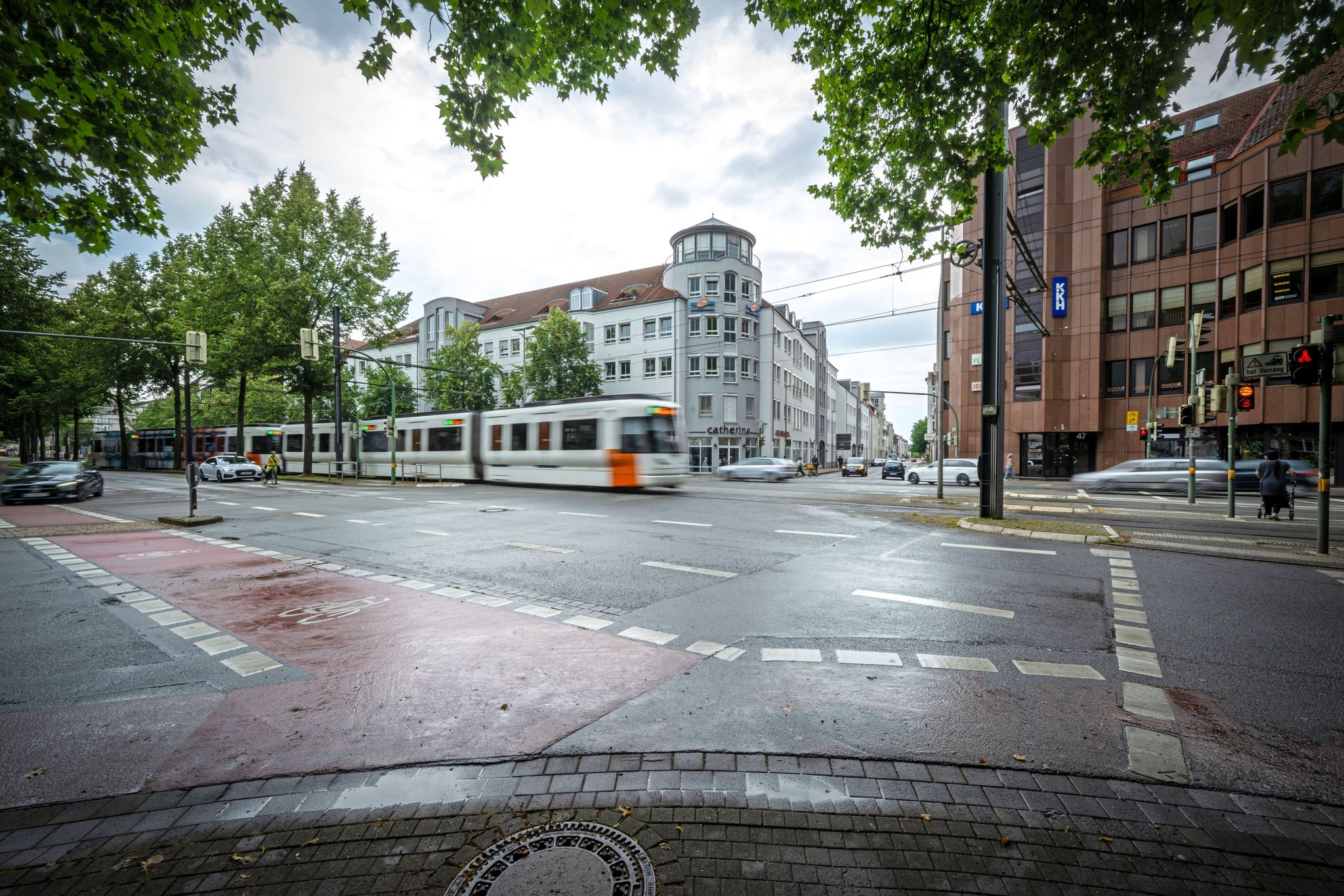 Mara your_little_snake the girl Lily is great, laid-back,