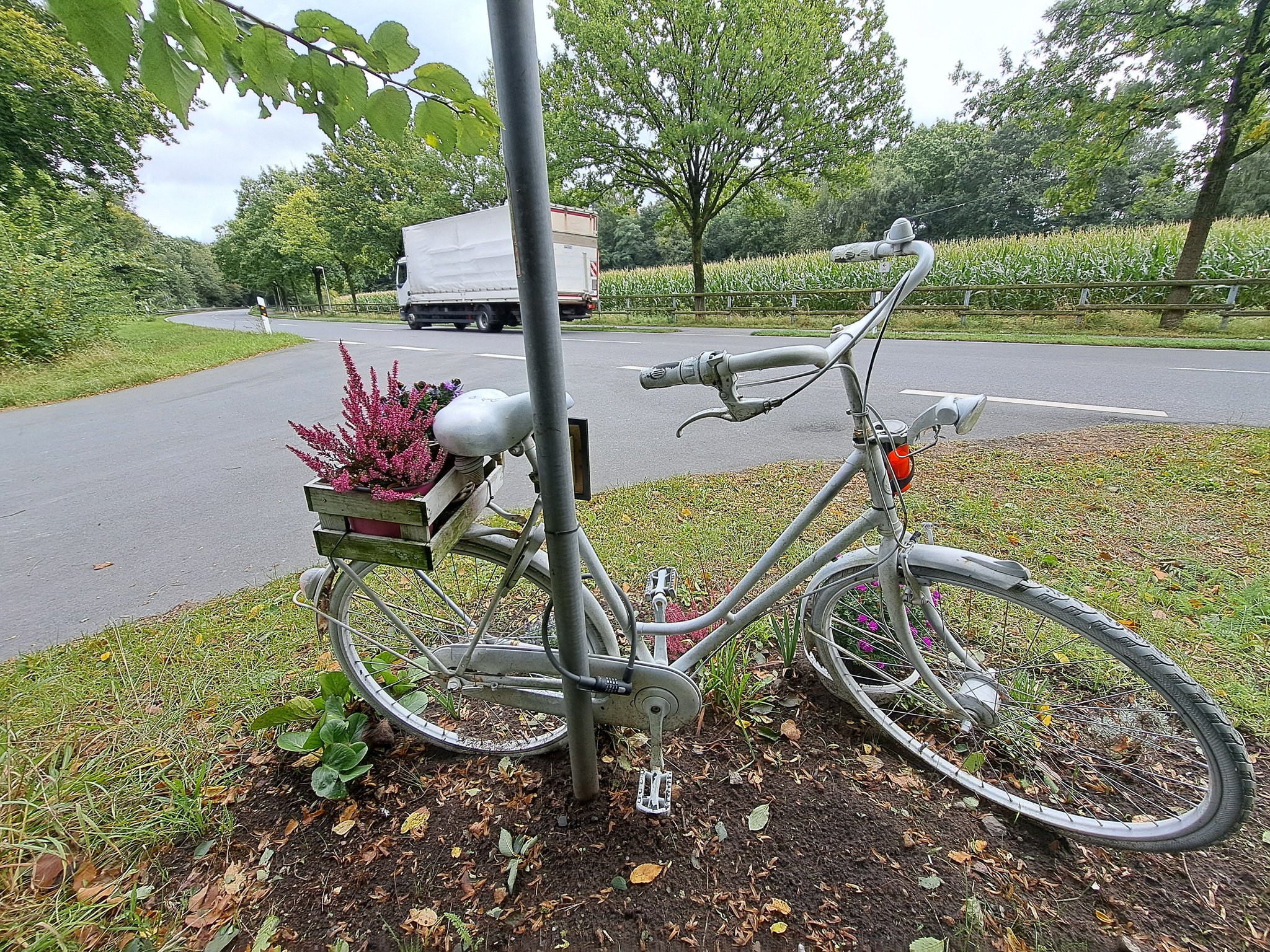 Tempolimit 50 kommt wohl nicht