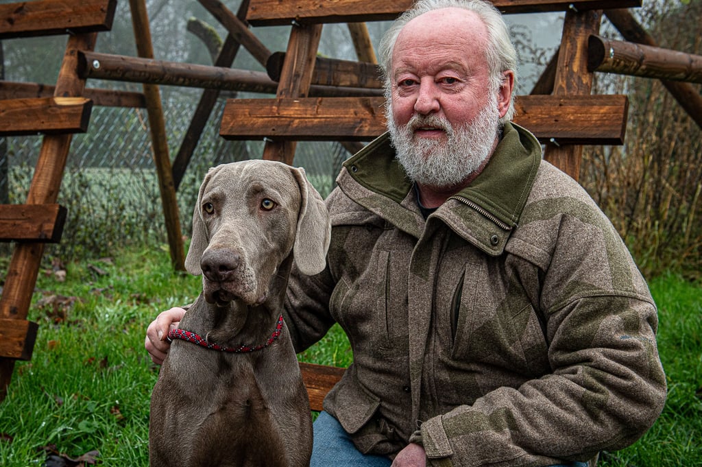 In der Region Lengerich ereignen sich viele Wildunfälle